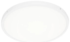 ITALUX PLF-7001-500R-WH-4K - LED Stropní svítidlo PELARO LED/36W/230V 4000K bílá PLF-7001-500R-WH-4K