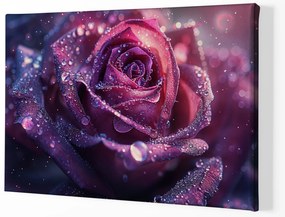 Obraz na plátně - Růže, růžový dotek FeelHappy.cz Velikost obrazu (šířka x výška): 180 x 120 cm