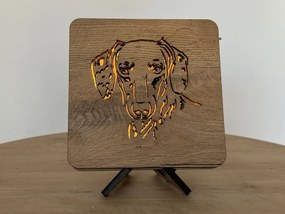 Li-Go "Jezevčík krátkosrstý" lampa 19x19 cm provedení povrchu: dub