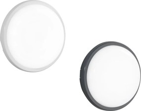 FAN LED-EVER-S ANT Venkovní nástěnné a stropní svítidlo LED EVER antracit, polykarbonát, 15 W, 1900 lm, 3000/4000 K, IP65, 16,9 x 6,2 cm - FANEUROPE
