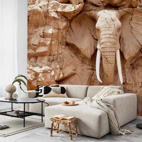 Fototapeta Kamenný slon (Jižní Afrika)