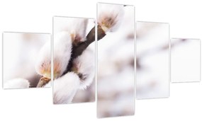 Obraz - Větev kočičky (125x70 cm)