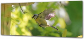 Skleněný obraz 100x40 grafika za sklem design