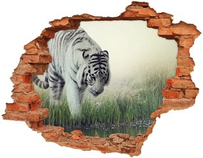 Wallmuralia Díra 3D fototapeta nálepka Bílý tygr 90x70 cm