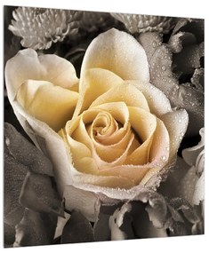 Obraz růže (40x40 cm)