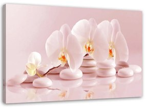 Obraz na plátně Orchidejové květiny Zen Spa - 120x80 cm