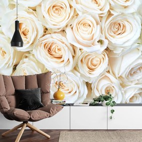 Fototapeta Krém Rose Bouquet Hladký vinyl 152.5x104