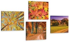Set obrazů příroda v podzimních barvách - 4x 60x60 cm
