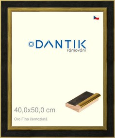 DANTIK rámeček 40x50 | Oro Fino černozlatá (Plexi Čiré)
