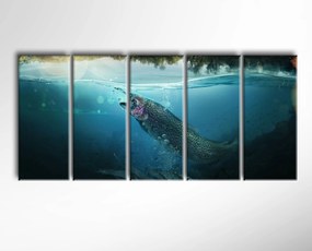 Malvis ® Obraz Pstruh pod vodou ROZMĚR (šířka x výška): pětidílný obdélník 200x90 cm