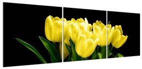 Obraz žlutých tulipánů (150x50 cm)