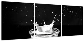 Obraz misky s mlékem