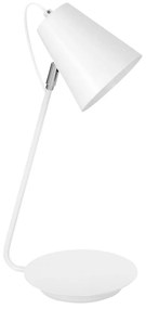 Luminex Stolní lampa TABLE LAMPS 1xE27/60W/230V LU8296