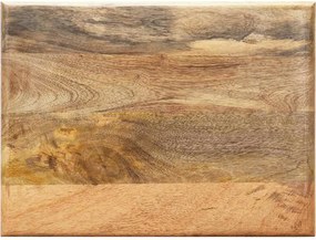 Stojan na časopisy 40 x 30 x 50 cm masivní mangovník a ocel 286465