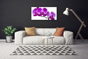 Obraz na plátně Květiny 120x60 cm