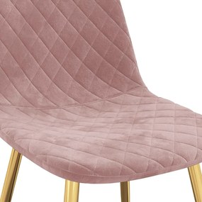 Jídelní židle Haber - 2 ks | růžové