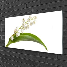 Obraz na skle Květiny Rostlina 140x70 cm