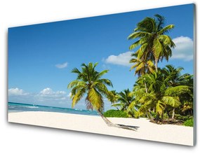 Obraz na skle Pláž Palma Moře Krajina 140x70 cm