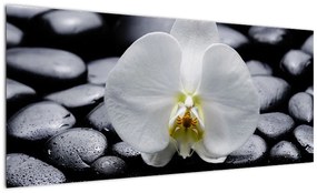 Květ orchideje - obraz (100x40cm)