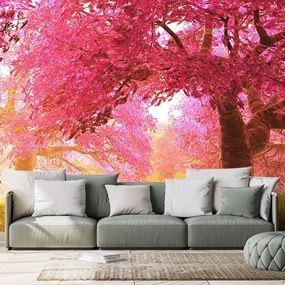 Fototapeta rozkvetlé stromy třešně - 150x100 cm