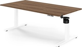 Elektrický stůl s nastavitelnou výškou ergonomický bílý/ořech,1600x800 mm: ARIA