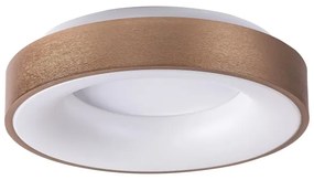 Rabalux 5052 - LED Stropní svítidlo CARMELA LED/30W/230V