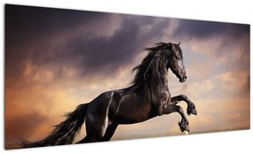 Kůň - obraz (100x40cm)
