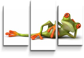 Sablio Obraz - 3-dílný Ležící žába - 75x50 cm