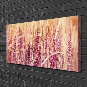 Obraz na plátně Pšenice Rostlina Příroda 125x50 cm