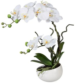 Umělá Orchidej v květináči bílá, 42 cm 115812-40
