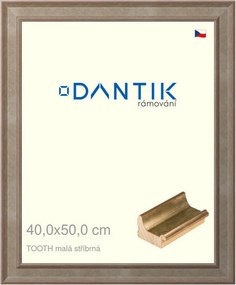 DANTIK rámeček 40x50 | TOOTH malá stříbrná (Plexi Čiré)