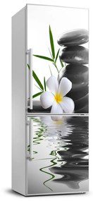 Wallmuralia Fototapeta nálepka na ledničku Orchidej 60x180 cm