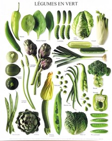Postershop Obrazová reprodukce : Green Vegetables - 24x30cm