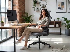 Ergonomická kancelářská židle ALEXANDRE - šedá síťovina
