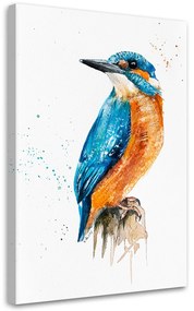 Gario Obraz na plátně Kingfisher - Dorota Martyńska Rozměry: 40 x 60 cm
