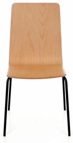 Židle Skin Steel wood