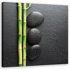 Obraz na plátně, Bambusové a Zen kameny - 30x30 cm