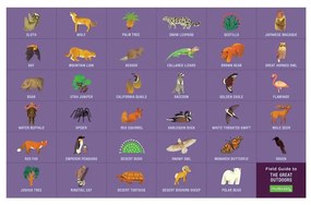Mudpuppy Puzzle skládej a hledej Příroda 64 dílů