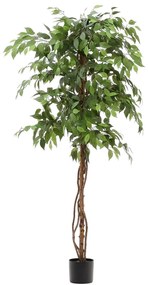 Umělá květina Kave Home Ficus 180 cm