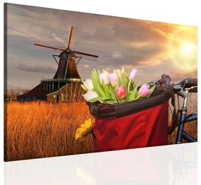 Obraz tulipány a větrný mlýn Velikost (šířka x výška): 35x25 cm