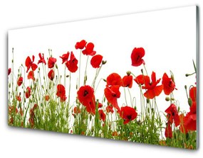 Obraz na skle Máky Květiny Příroda 100x50 cm