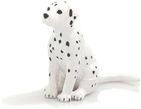 Mojo Dalmatin štěně