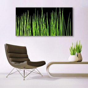 akrylový obraz Plevel 120x60 cm