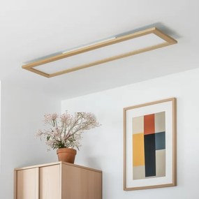 Brilagi - LED Stmívatelné svítidlo SLIMFRAME WOOD LED/58W/230V 124x34 cm + DO