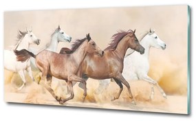 Wallmuralia Fotoobraz na skle Koně ve cvalu 100x50