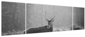 Obraz - Jelen v lese, černobílá (170x50 cm)