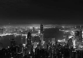 Postershop Fototapeta vliesová: Panorama velkoměsta (černobílý) - 416x254 cm