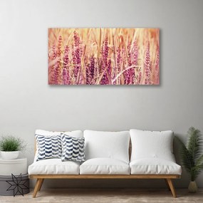 Obraz na plátně Pšenice Rostlina Příroda 100x50 cm