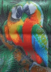 NORIMPEX Diamantové malování Barevní papoušci / 30x40 cm