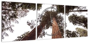 Obraz - Pohled skrz koruny stromů (s hodinami) (90x30 cm)